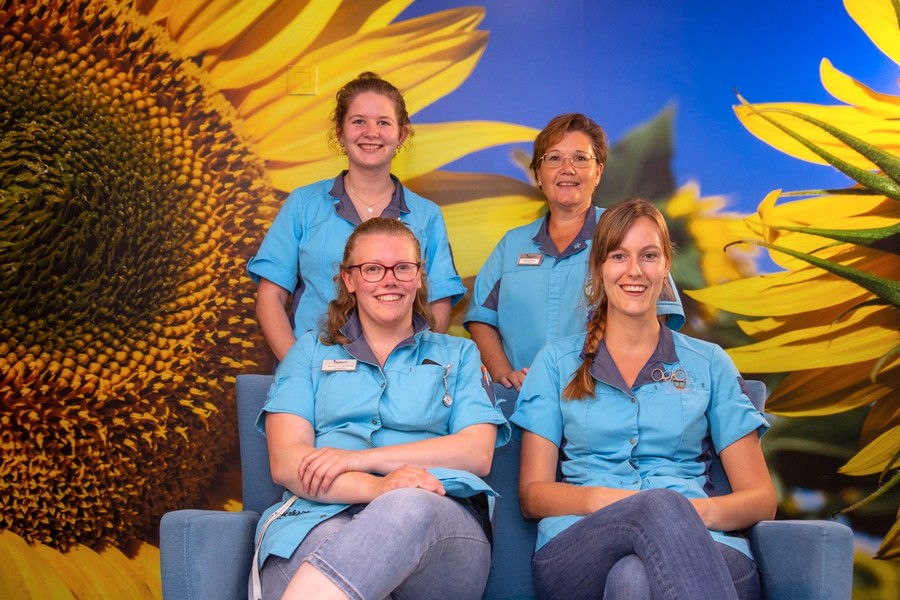 Neboplus - Wat bieden we